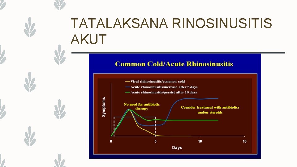 TATALAKSANA RINOSINUSITIS DI LAYANAN PRIMER Dr Sinta Sari