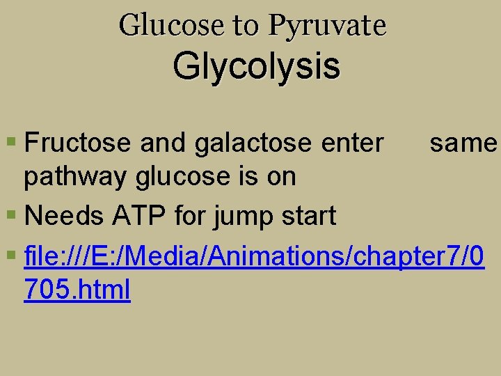 Metabolism Transformations and Interactions Chapter 7 Introduction Energy