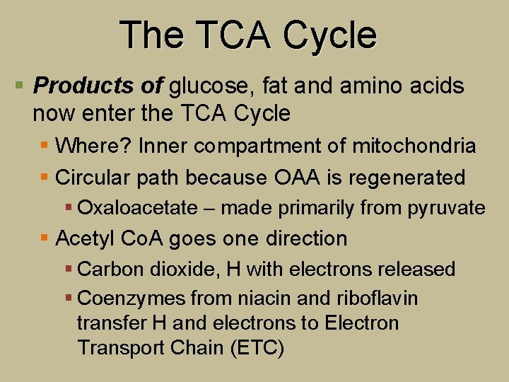 Metabolism Transformations and Interactions Chapter 7 Introduction Energy