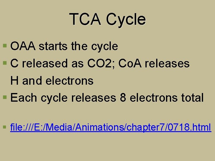 Metabolism Transformations and Interactions Chapter 7 Introduction Energy