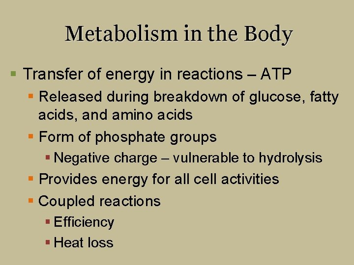 Metabolism Transformations and Interactions Chapter 7 Introduction Energy
