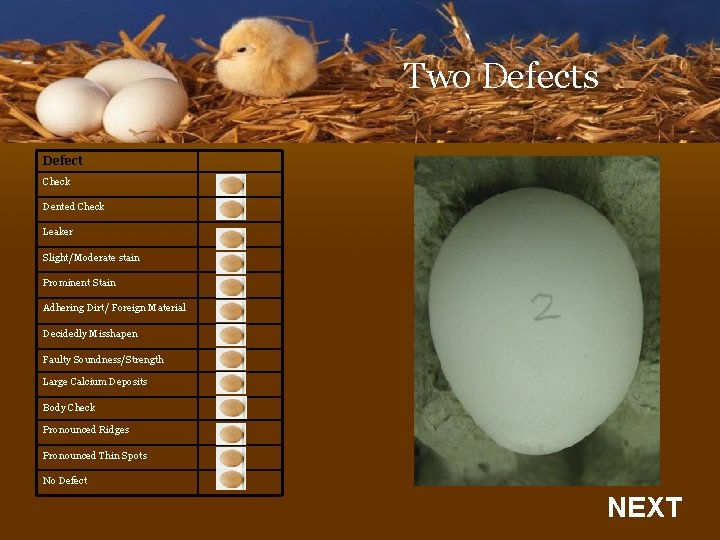 Egg Exterior Quality Written Factors Practice NEXT Instructions