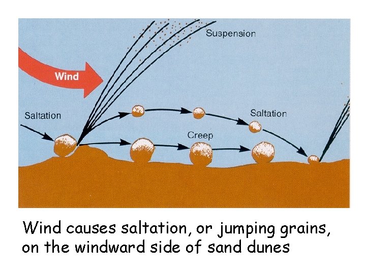 Erosion by Wind and Waves Ch 16 Wind