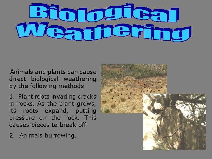 Weathering The breakdown of rocks into small particles