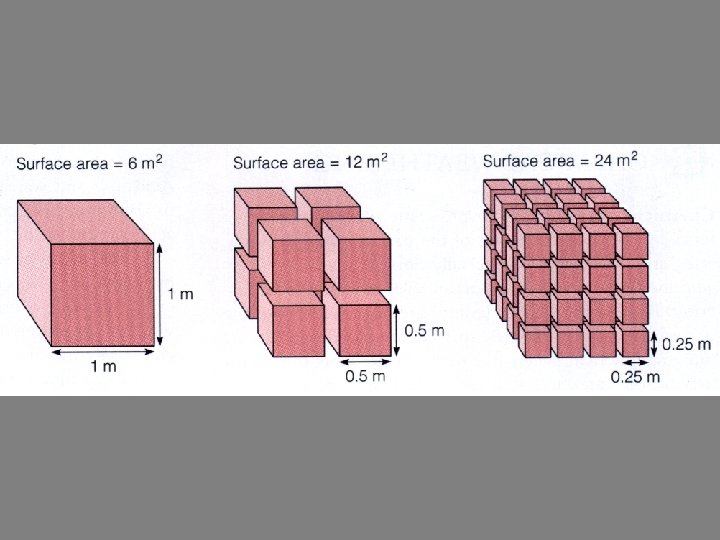 Weathering The breakdown of rocks into small particles