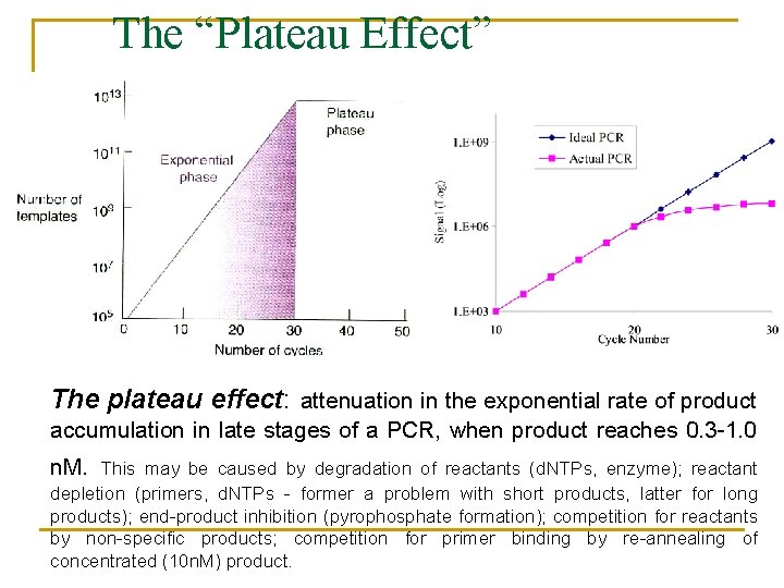 Polymerase Chain Reaction PCR and its Applications Introduction