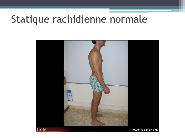 ED 5 Rhumatologie Smiologie rhumatologique du rachis 29022016