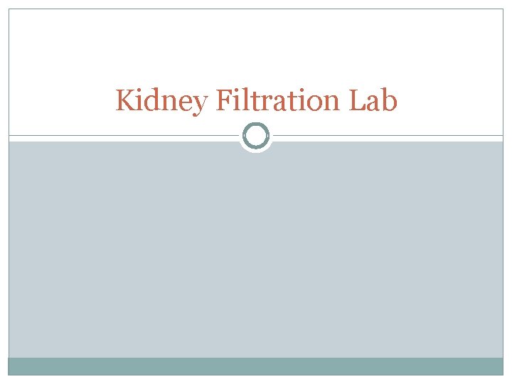 Kidney Filtration Lab Objectives Determine how kidneys function