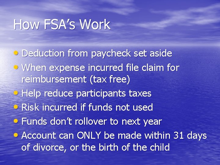 Flexible Benefits Plans Group 10 Cecilia Martinez Melissa