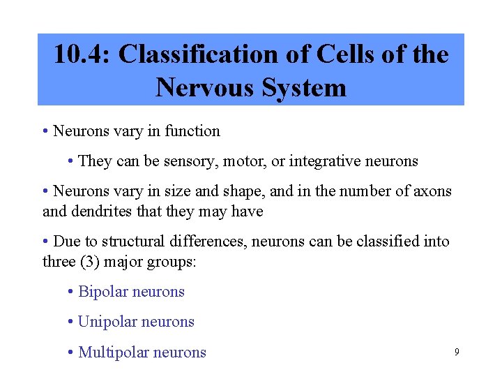 Chapter 10 Lecture Outline See separate Image Power