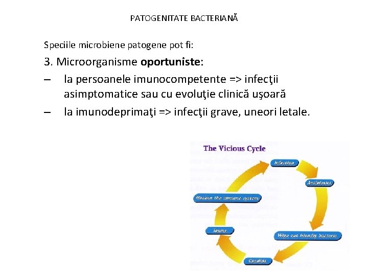 Patogenitate bacterian Dr Carmen Costache Patogenitate bacterian Planul