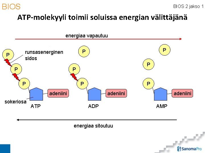 BIOS 2 jakso 1 Solun toiminta tarvitsee energiaa