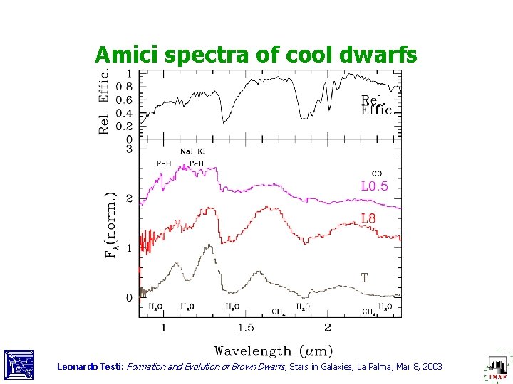 Origin and Early Evolution of Brown Dwarfs Leonardo