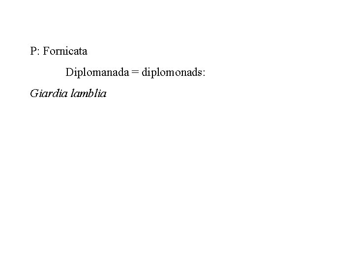 The Eukaryotes 12 a Protozoans Eukaryotes in general