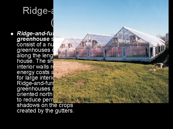 Greenhouse Structures By Tony Watkins For Horticulture What