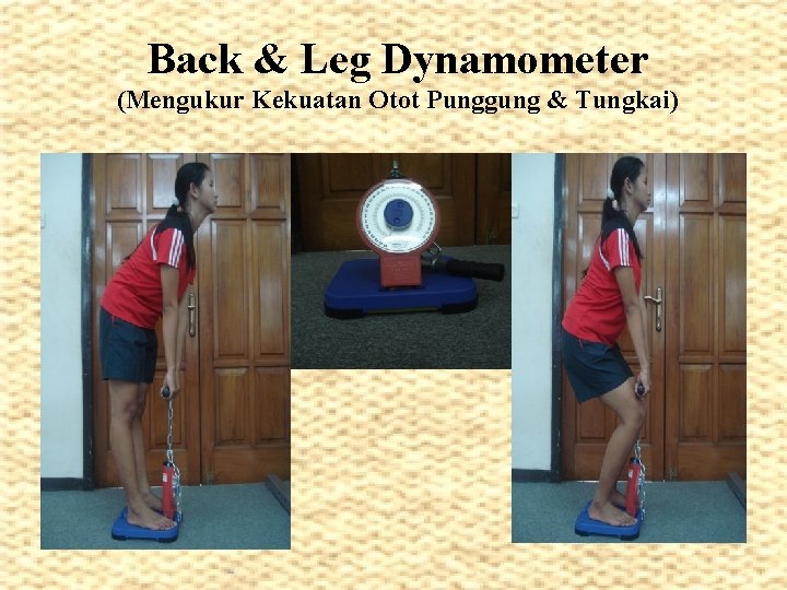 LATIHAN KONDISI FISIK Ruruh AB Latihan Berbagai bentuk