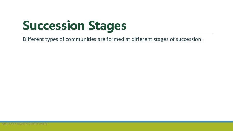 Ecological Succession CHANGE OVER TIME What is a