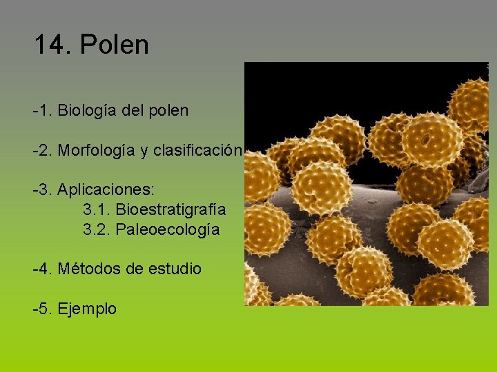 14 Polen Gonzalo Jimnez Moreno Curso 09 10