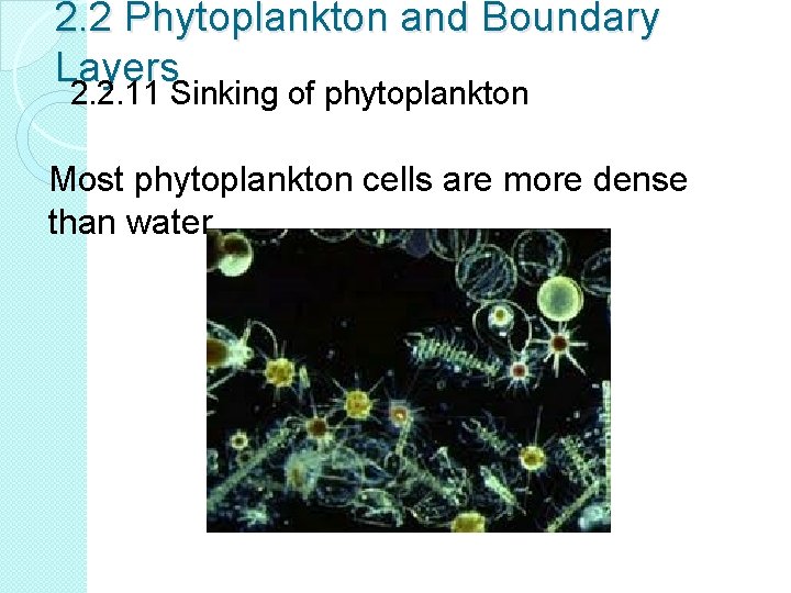 Dynamics of Marine Ecosystem P 02 Biology and