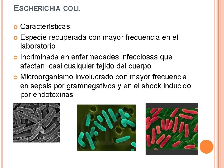 COPROCULTIVO El coprocultivo es un estudio clnico que