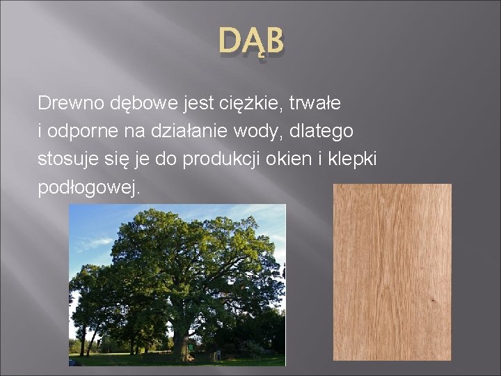 CENNY SUROWIEC CO TO JEST DREWNO Drewno surowiec