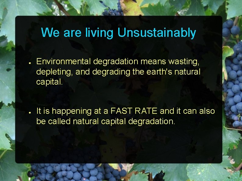 Chapter 1 Environmental Problems Their Causes and Sustainability