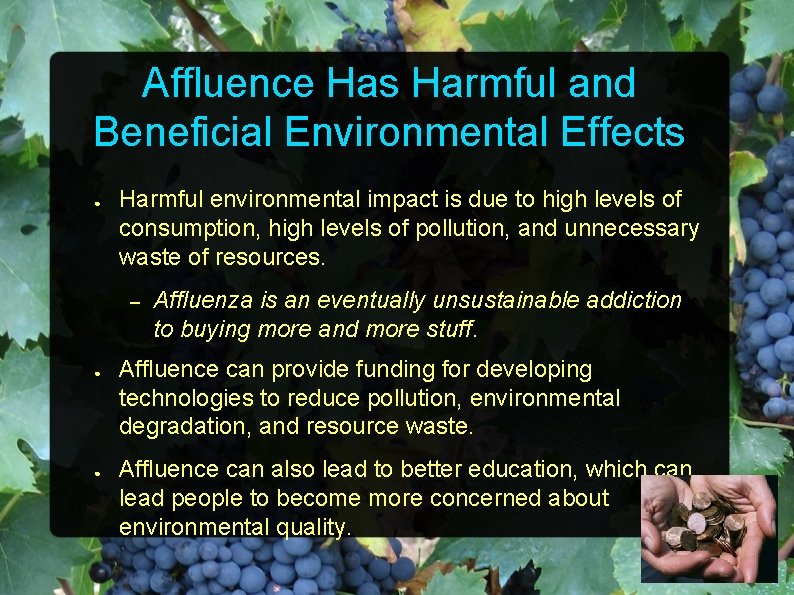 Chapter 1 Environmental Problems Their Causes and Sustainability