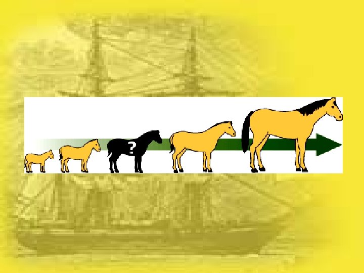 MODELOS EVOLUTIVOS GRADUALISMO Y EQUILIBRIO PUNTUADO Gradualism or