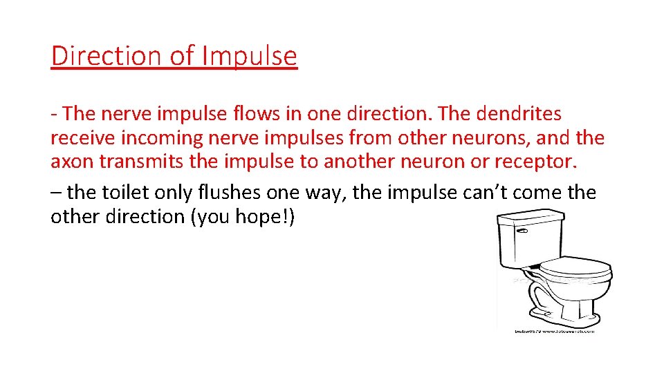 UNIT 3 BIOLOGICAL BASES OF BEHAVIOR MODULE 9