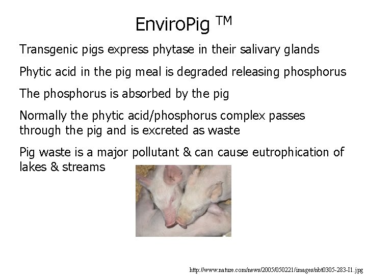 Animal Biotechnology Transgenics are genetically modified organisms with