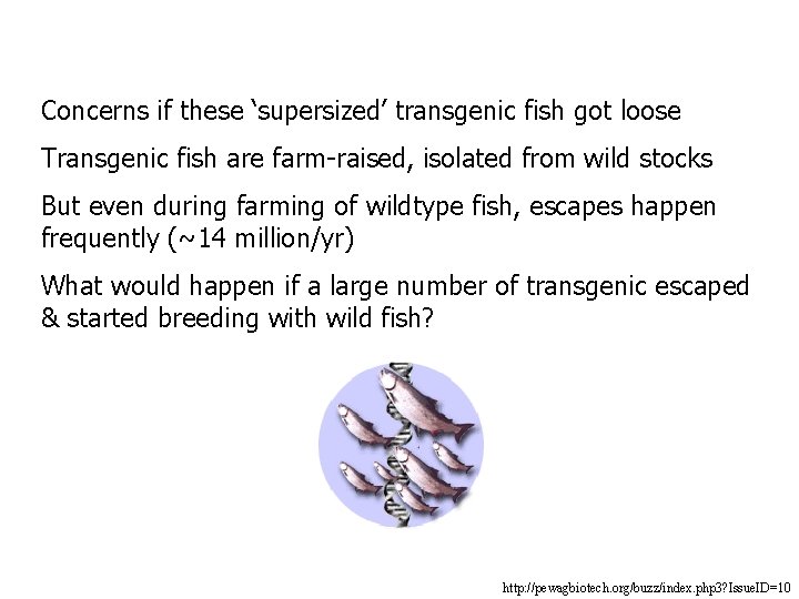 Animal Biotechnology Transgenics are genetically modified organisms with
