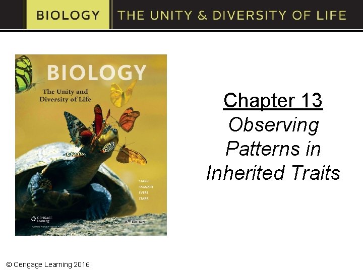 Chapter 13 Observing Patterns in Inherited Traits Cengage