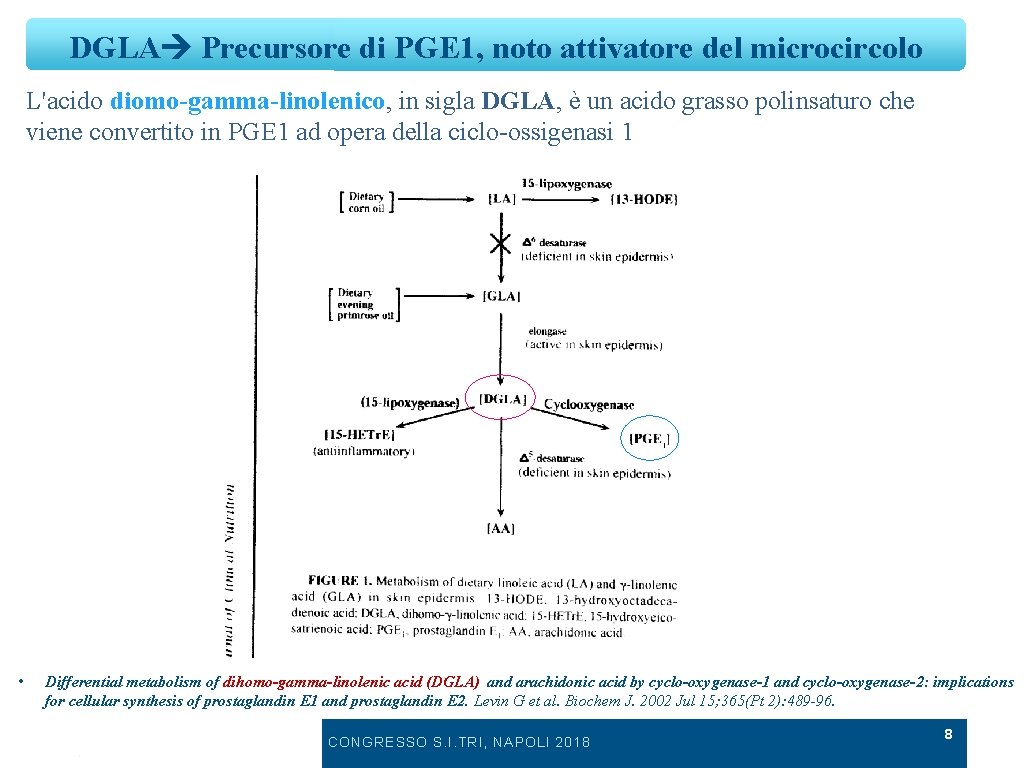 Soluzione liposomiale contenente DGLA Equolo e Carnitina per