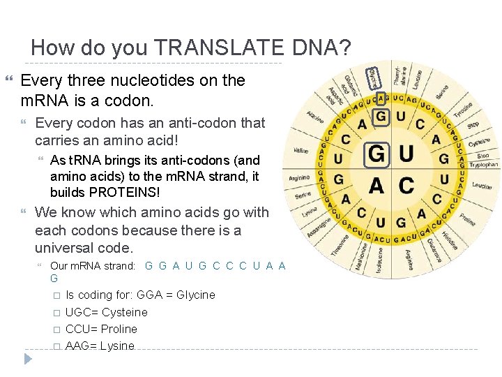 FINAL SPRING REVIEW What is an investigative question