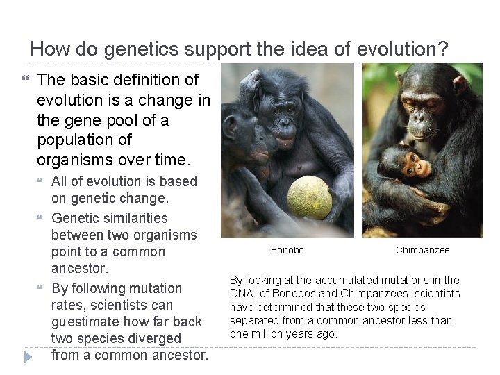 FINAL SPRING REVIEW What is an investigative question