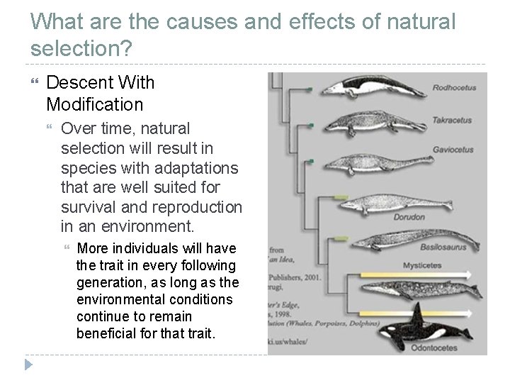 FINAL SPRING REVIEW What is an investigative question