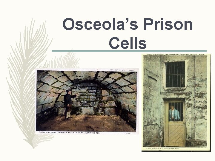 Section Three The Second Seminole War 1835 1842
