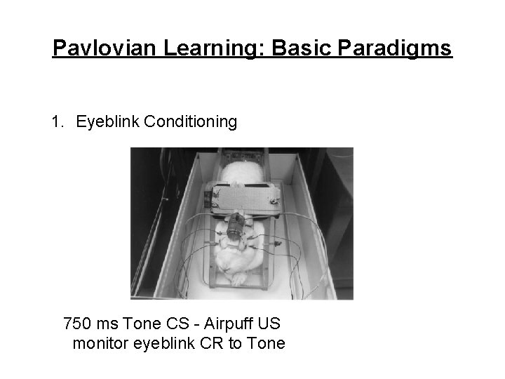 Lectures 56 Pavlovian Conditioning Basic Concepts Generality Learning