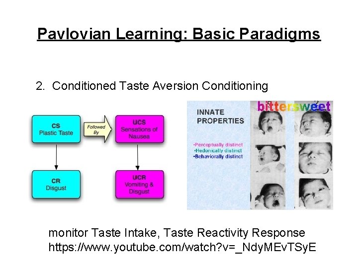 Lectures 56 Pavlovian Conditioning Basic Concepts Generality Learning