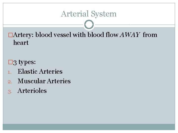 BLOOD VESSELS HONORS ANATOMY PHYSIOLOGY CHAPTER 19 BLOOD