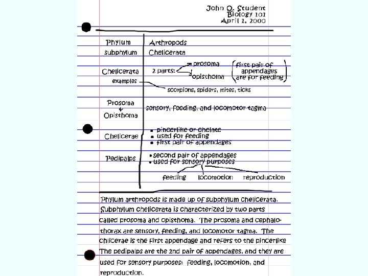 Powerful Writing Note taking Techniques for Science Middle