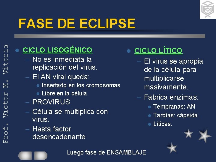 VIROLOGA Estructura de los virus Tipos de virus