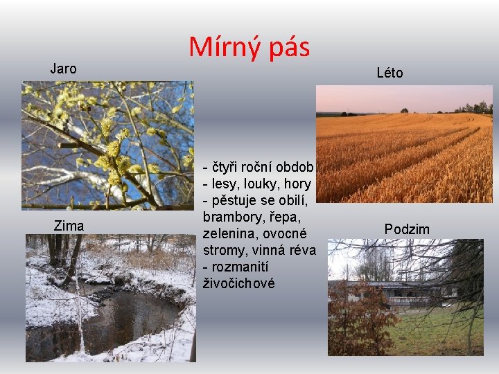 TYPY KRAJINY Typy krajin v Podle nadmosk vky