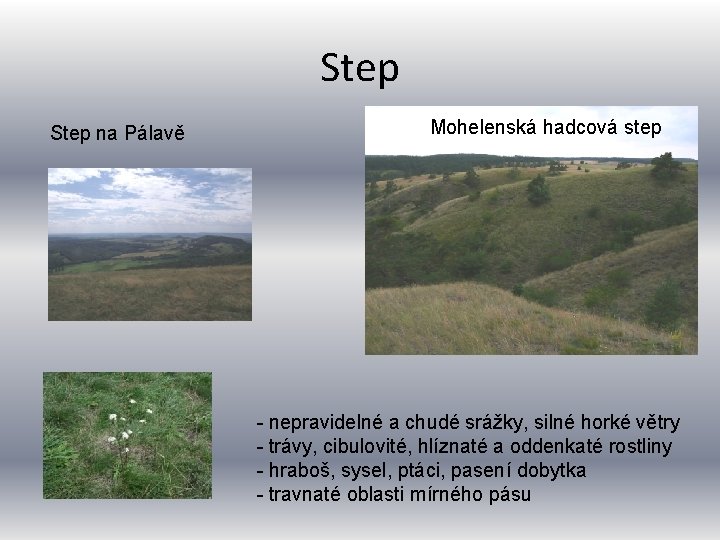 TYPY KRAJINY Typy krajin v Podle nadmosk vky