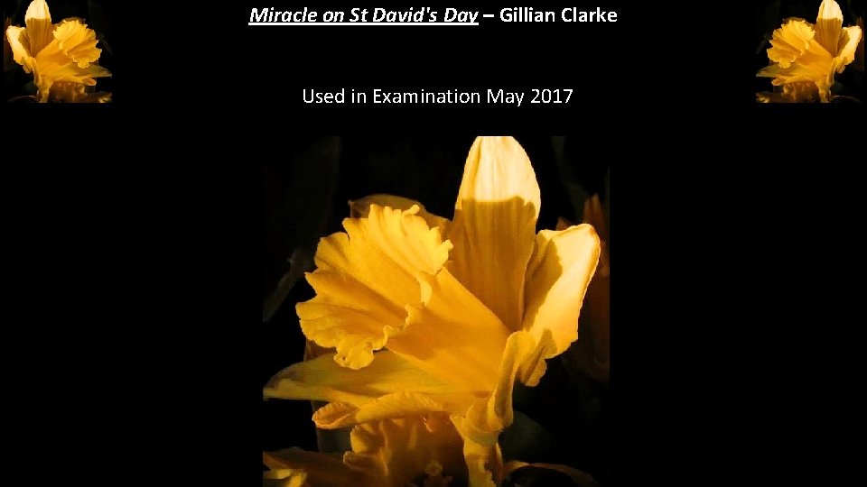 Miracle on St Davids Day Gillian Clarke Used