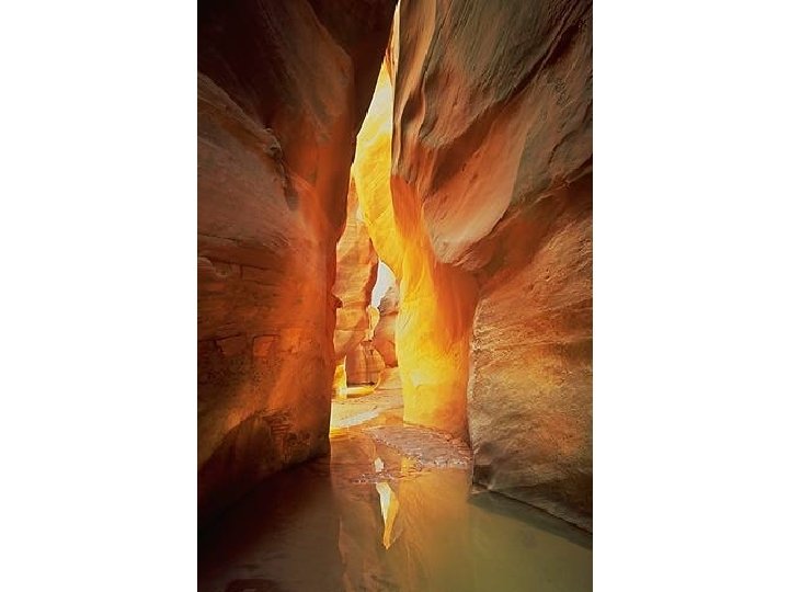 David Muench Presentation done by Tyler Blank Education