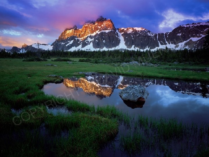 David Muench Presentation done by Tyler Blank Education