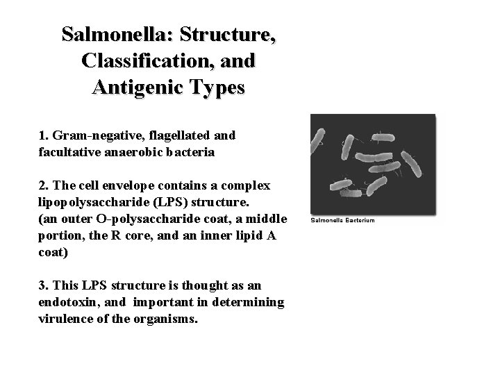 Escherichia coli and Salmonella Shuzo Kaneko Andrea Tu