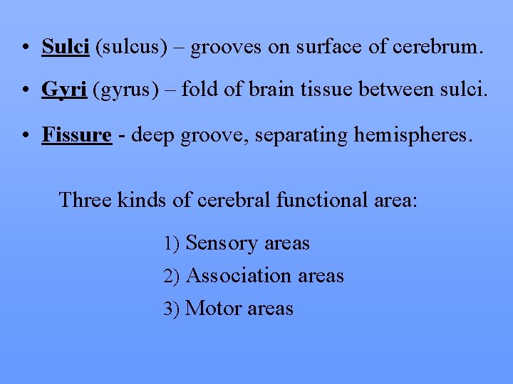 Sulci sulcus grooves on surface of cerebrum Gyri