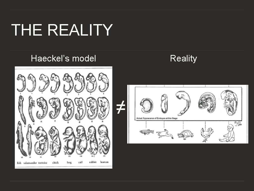 ARGUMENTS OF EVOLUTION IN BIOLOGY TEXTBOOKS EMBRYOLOGY AND